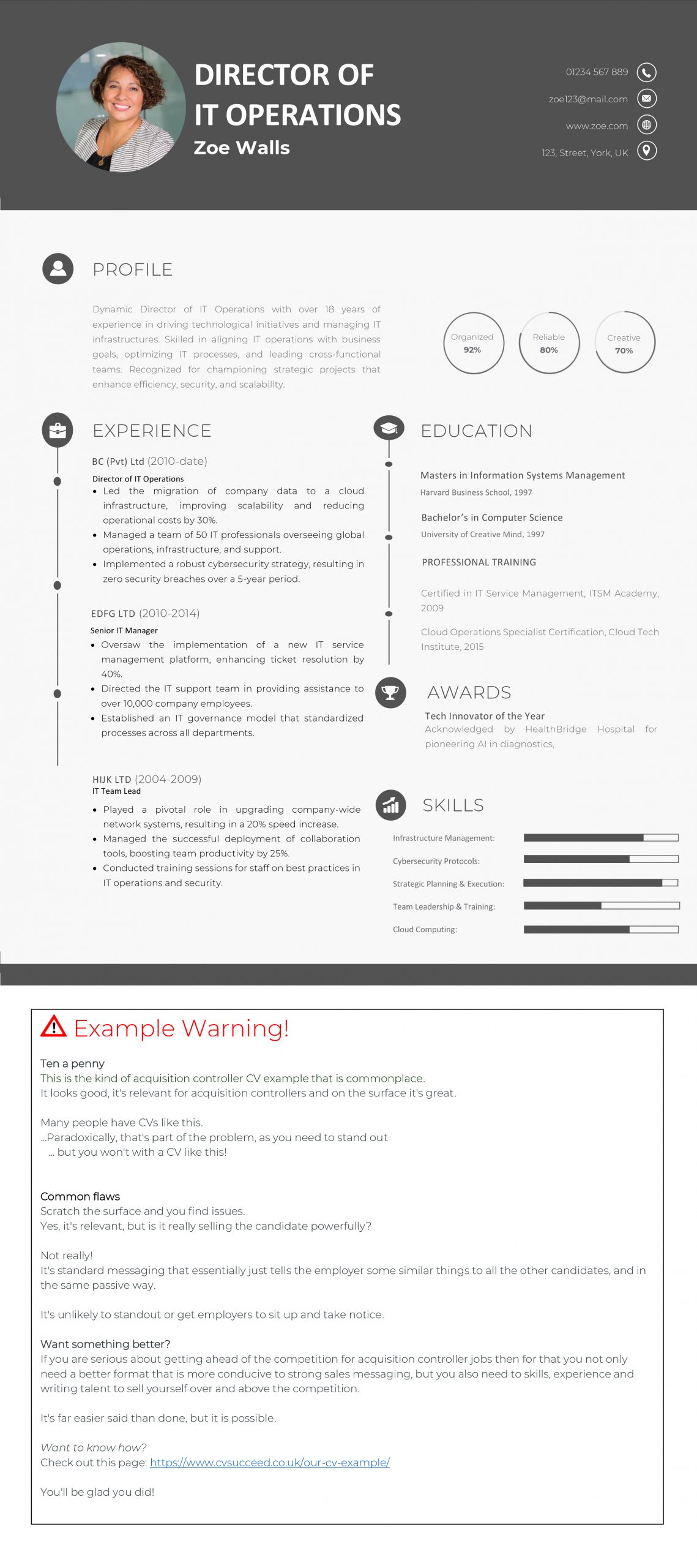 director-of-it-operations-cv-examples-template