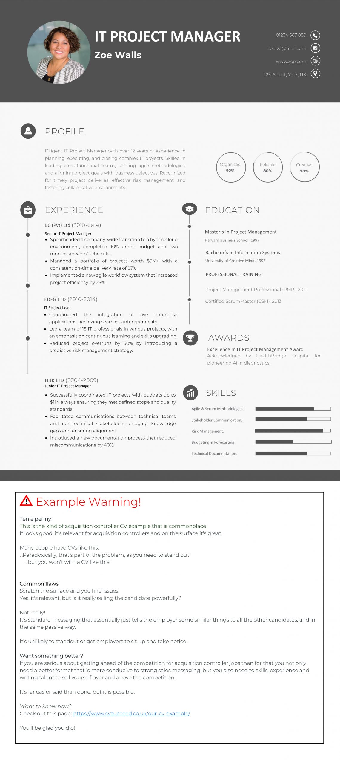 it-project-manager-cv-example-template